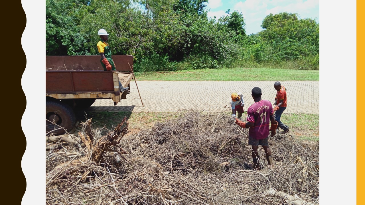 Vipingo Ridge Project | Eco-Ethics & Development